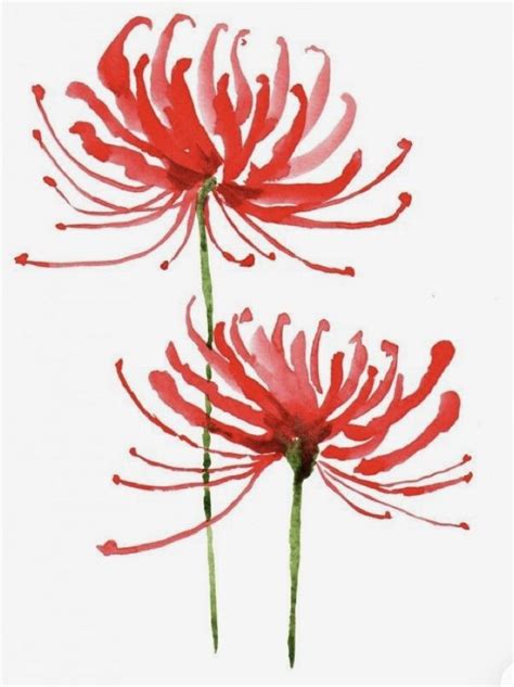 Red Spider Lily Drawing Easy