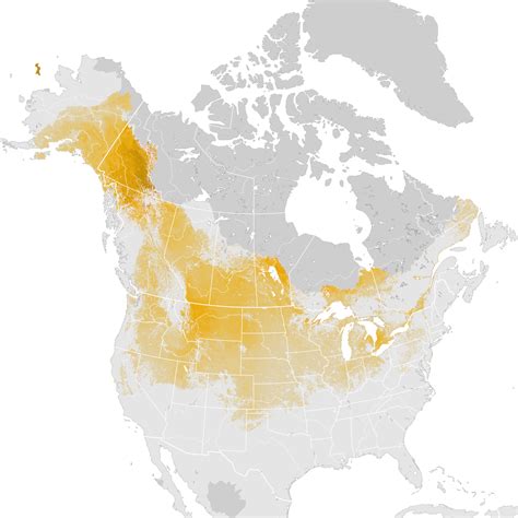 Rough Legged Hawk Abundance Map Post Breeding Migration Ebird