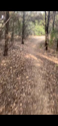 Desperately Peeing On A Tree Male Omorashi