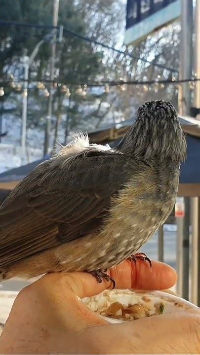 바람불고 날씨가 많이 춥네요 Shorts Youtube