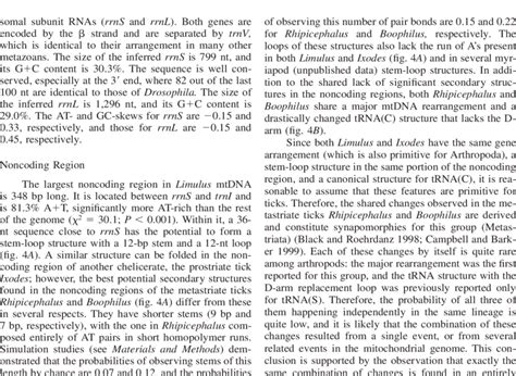 The Best Potential Stem Loop Structures Present In The Large Noncoding