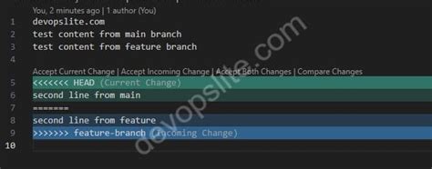 Handling Git Conflict When Merging Branches