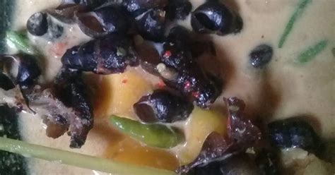 Resep Gulai Siput Labu Kuning Oleh Zeze Eliza Cookpad