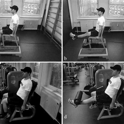 Pdf Muscle Activity During Knee Extension Strengthening Exercise Performed With Elastic Tubing