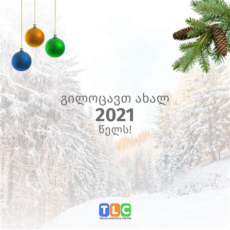 Tbilisi Logistics Center • თბილისის ლოგისტიკური ცენტრი Home Facebook