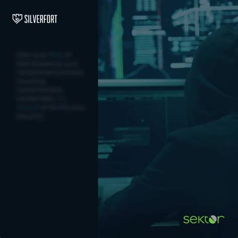 [video] Sektor Australia On Linkedin Riskmanagement Cybersecurity