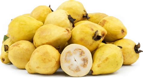 Mexican Cream Guavas Information And Facts