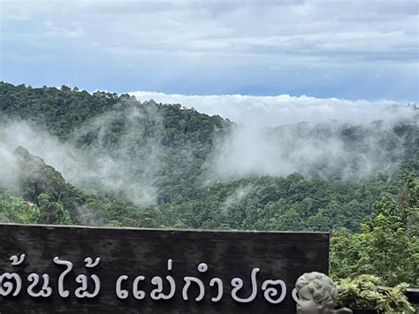 บ้านต้นไม้ แม่กำปอง The Tree Home Maekampong ที่พักอำเภอแม่ออน เชียงใหม่