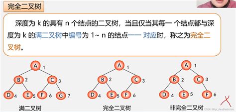 数据结构③ 二叉树 Csdn博客