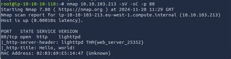 Tryhackme Net Sec Challenge— Walkthrough Jasper Alblas