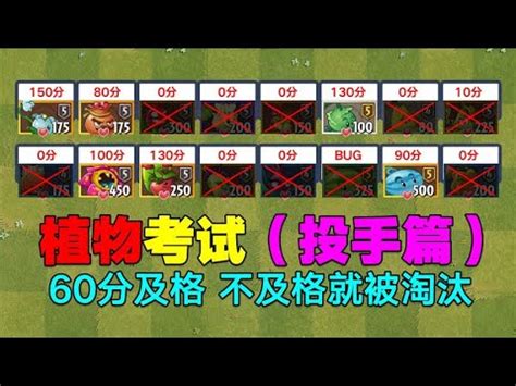 植物考试淘汰赛投手篇下集冠军争夺谁是第一名 YouTube