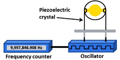 A Piezoelectric Quartz Crystal Based Biosensor Adapted From Ref [51] Download Scientific Diagram