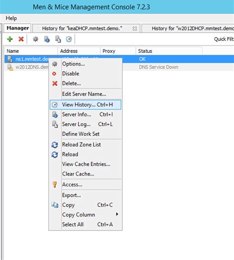 Other Actions In The Management Console — Micetro By Menandmice 103 Documentation