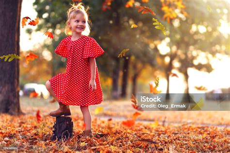 키즈 패션 가을 공원에서 재생 타락 한 잎을 던지고 사랑스러운 소녀 작은 금발 머리와 파란 눈 소녀 물방울 무늬 빨간 드레스와 부츠 웃는 표정 골든 아워 가을에 대한 스톡