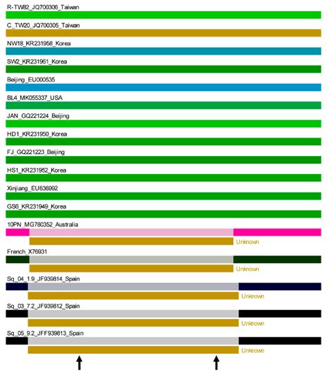 Different Rna Elements Control Viral Protein Synthesis In Polerovirus Isolates Evolved In