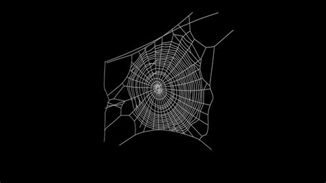3d Spider Web Model Turbosquid 1740723