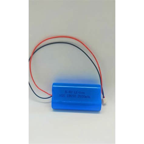 Rechargeable Li Ion Double Battery Mah V With Wire Blue Shopee Philippines