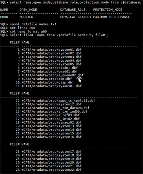 davis apps dba roll forward a standby database using rman incremental backup