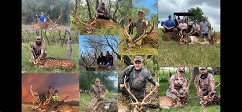 Mtr Outfitters All Axis Bucks Are Currently Booked Facebook