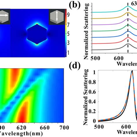 A Finite Difference Time Domain Fdtd Simulated Electric Field Download Scientific Diagram
