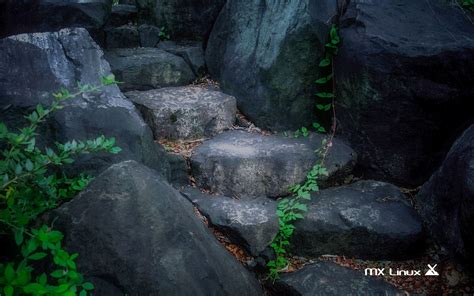 Mx Linux Wallpapers 4k Hd Mx Linux Backgrounds On Wallpaperbat