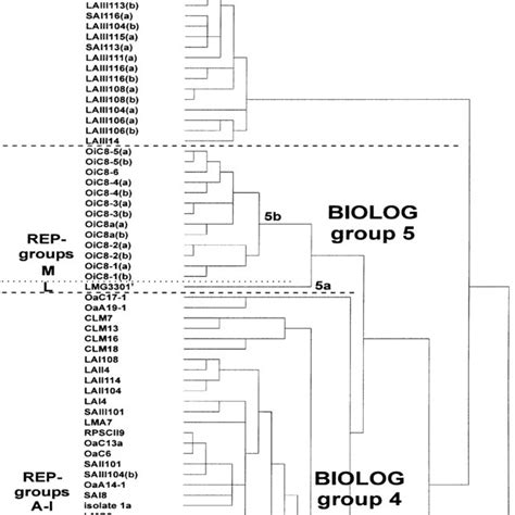 Hierarchical Cluster Analysis Of Biolog Gn Substrate Utilization