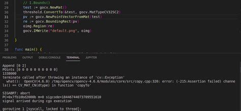 gocv newpointvectorfrommat img throwing exception · issue 1042