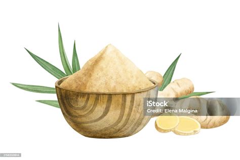 갈은 마늘 가루 생강 뿌리와 잎 소박한 나무 그릇 수채화 그림 흰색에 분리되어 있습니다 요리 조미료 음식 및 건강 요리를 위한 잎이 있는 건조하고 생 향신료 가루로 빻은에