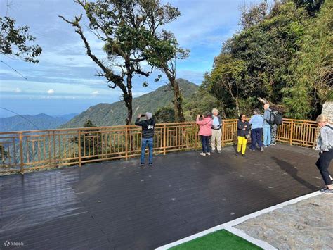 카메론 하이랜드 일일 투어 클룩 Klook 한국