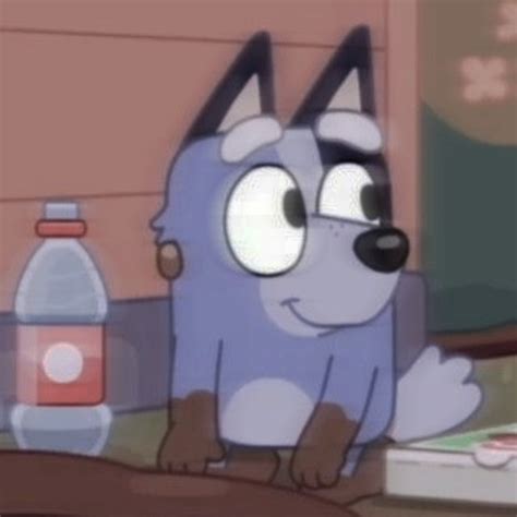 Bluey Socks Talking At Ebony Heritage Blog