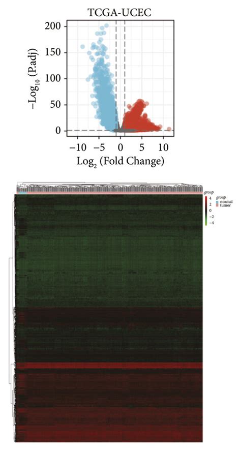 Identification Of Degs A Volcano Plots And Heatmaps Of Degs In The