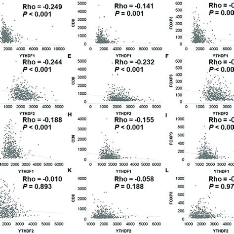 Correlation Among Ythdf1 Ythdf2 Cd4 Cd8 And Foxp3 Analyzed By Download Scientific Diagram