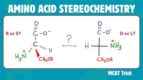 Amino Acid Stereochemistry R And S Vs D And L Youtube