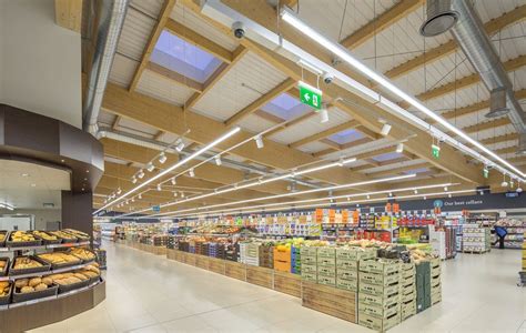 LIDL Condition Surveys ORS