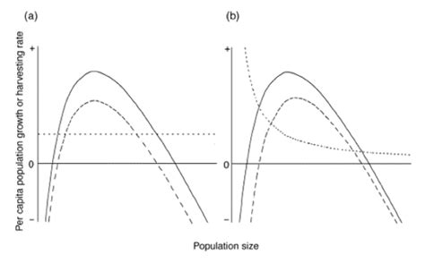 The Allee Effect Behavioural Ecology And Conservation