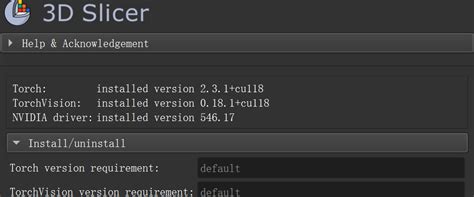 TotalSegmentator Error At First Run DummyFile Object Has No