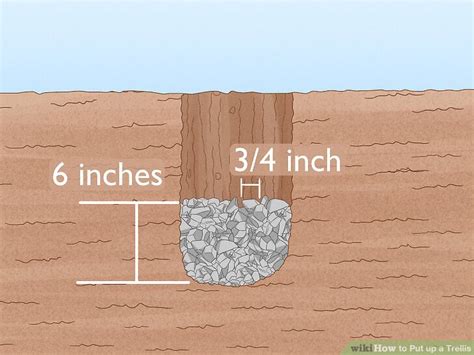 How To Put Up A Trellis 12 Steps With Pictures WikiHow