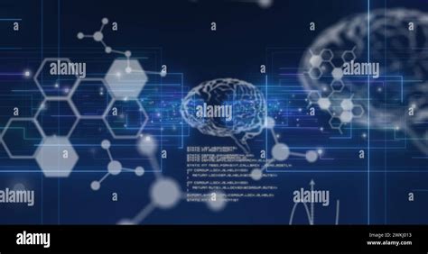 Image Of Chemical Formulas Data Processing And Brains On Navy Background Data Processing