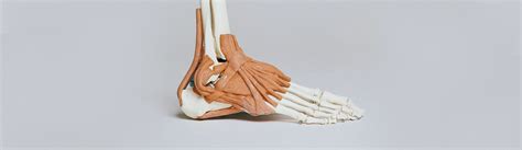 Dr John Land Iv Dpm 60 Reviews Podiatrists In Dalton Ga