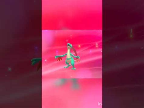 Shiny Treecko Evolve YouTube