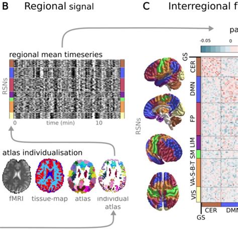 Calculating Functional Brain Connectivity From Resting State FMRI Download Scientific Diagram