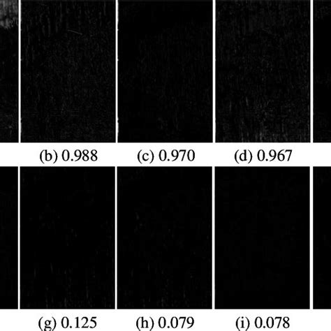 Feature Maps With Different Weights The Images In A E Denote The