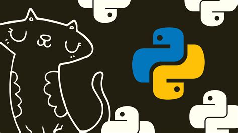 Python Collections Specialized Collection Data Types