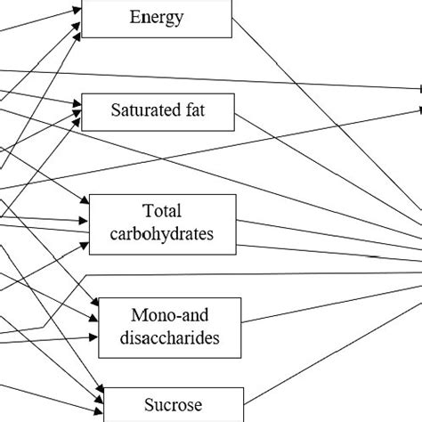 Full Theoretical Model On The Relationships Between Sex Age Download Scientific Diagram