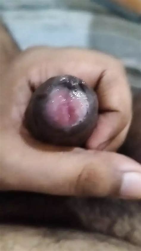 Deliciosa Polla Xhamster