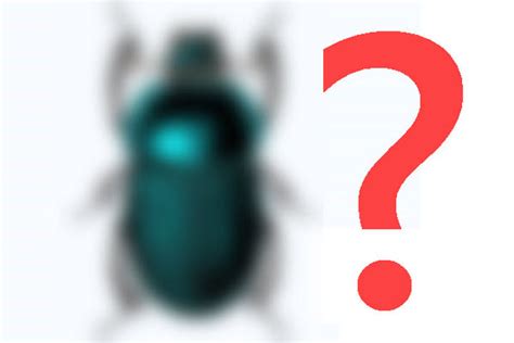 Out Of Memory With Sql Server Backend