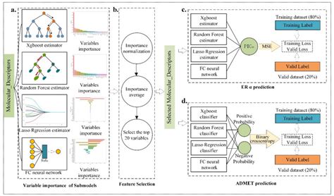 Optimal Modeling Of Anti Breast Cancer Candidate Drugs Screening Based On Multi Model Ensemble