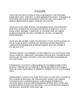 Fossils Reading Comprehension With Questions Answers Quiz TPT