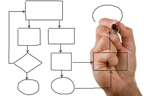 la differenza tra protocollo e procedura nelle aziende
