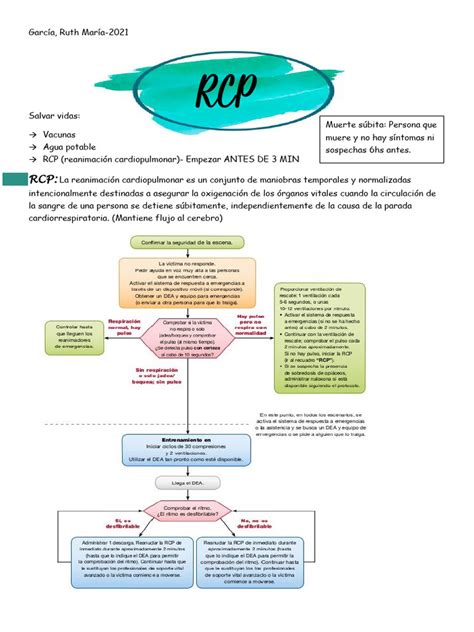 Guía De Rcp Y Manejo De Emergencias Pdf Salud Y Bienestar
